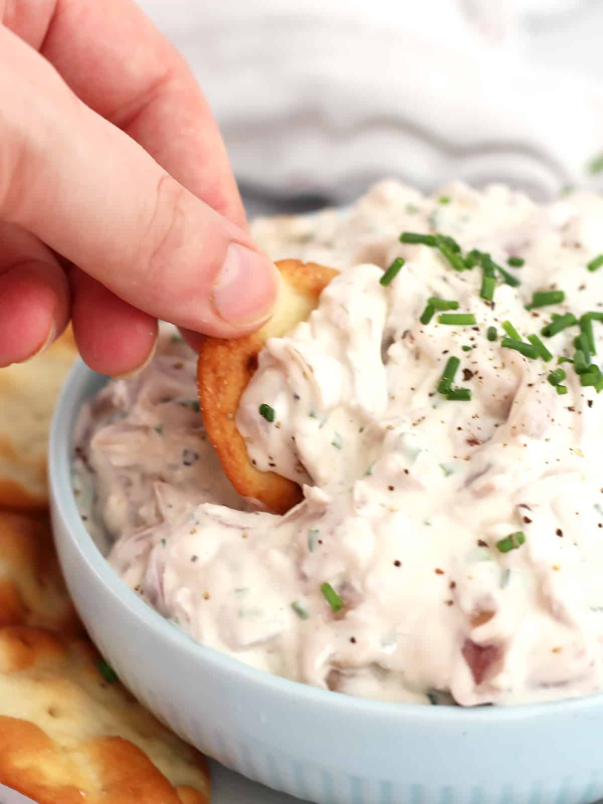 Red Onion Dip - Bite On The Side